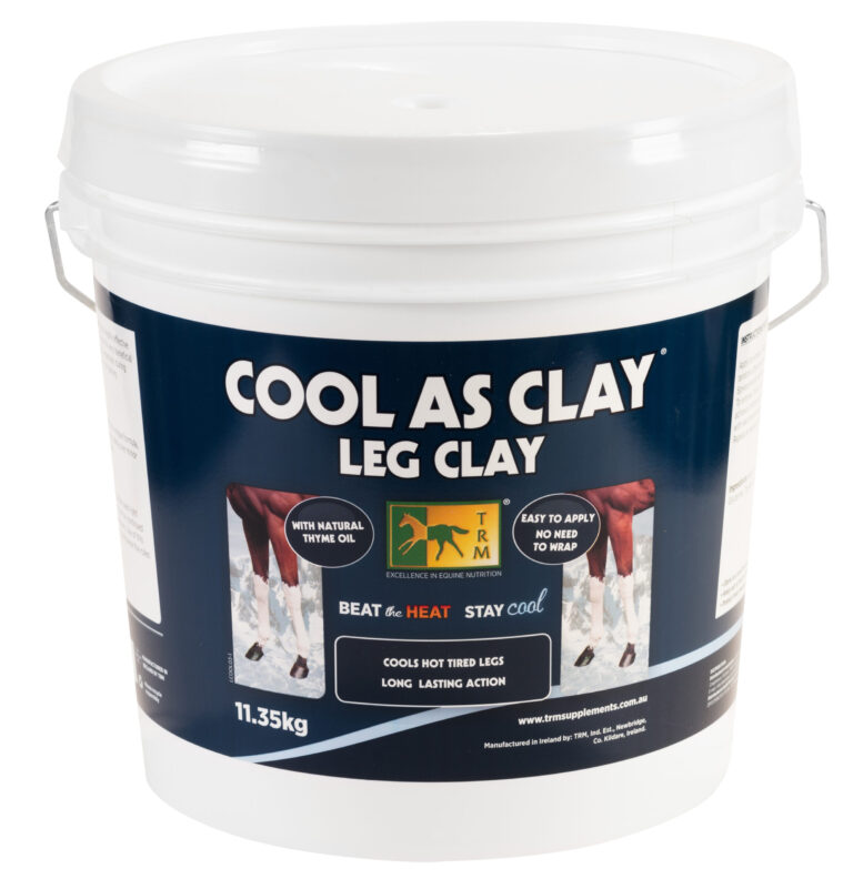 TRM Cool as Clay – Orange Horse