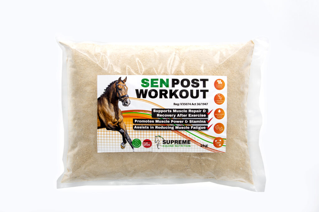 SEN Post Workout Refill – Orange Horse